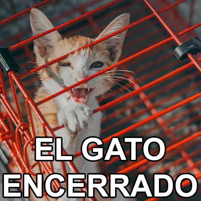 ¿Volverán los abrazos? - Informativo Entre Todos